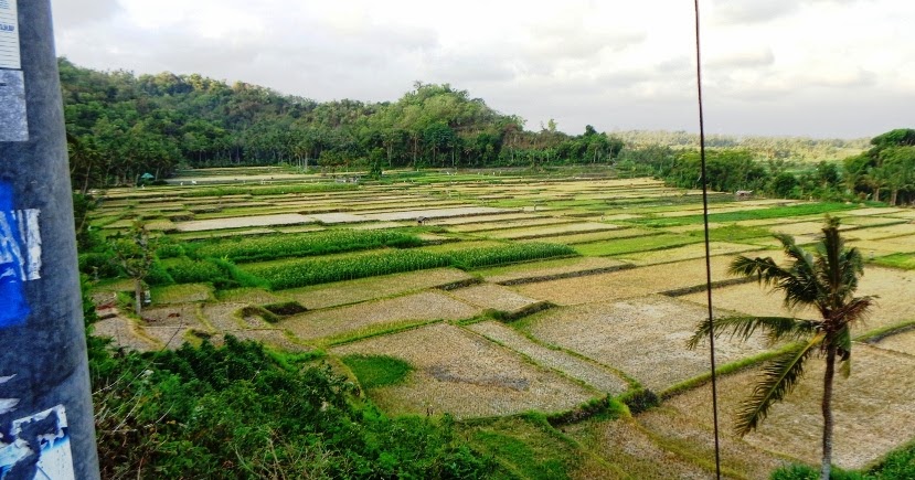 Mari Membangun Desa: Desa Bugbug Selayang Pandang