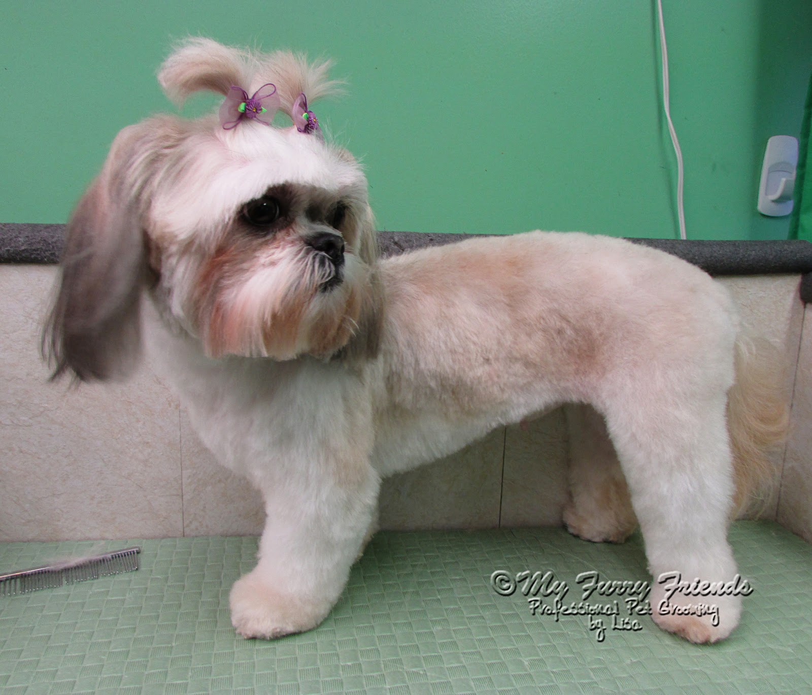 Pet Grooming: The Good, The Bad, & The Furry: Makeover Monday #8...To ...
