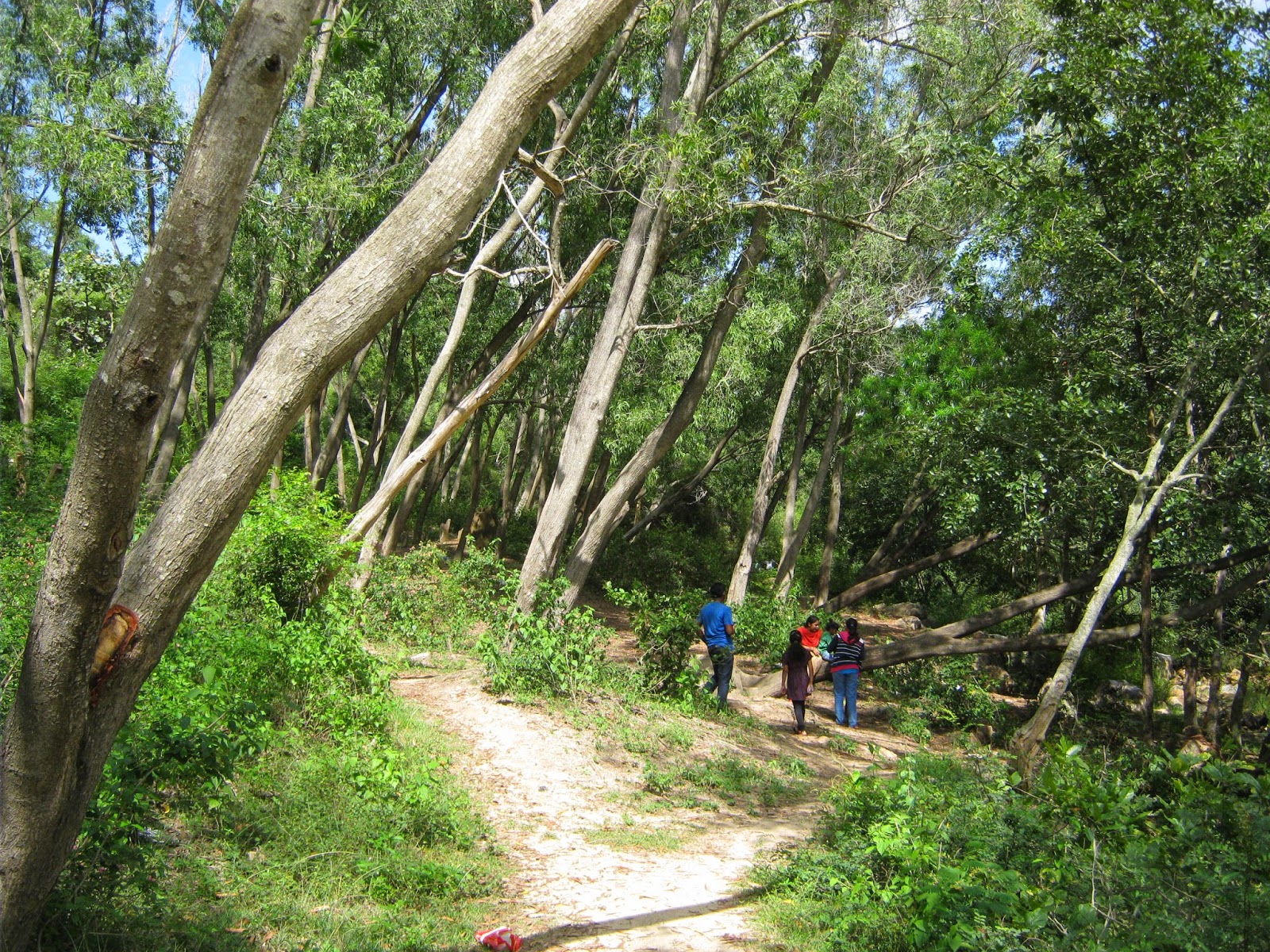 MuthyalaMaduvu , Pearl Valley , Anekal , near Bengaluru