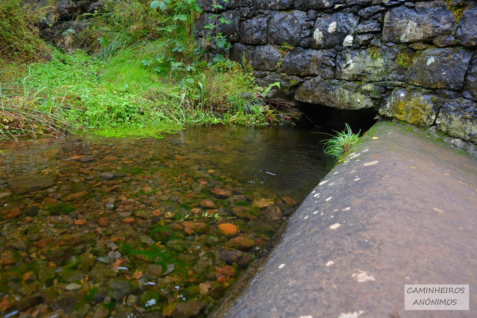 Caminheiros Anónimos Levadas da Madeira : Levada Grande do Paul (Calheta)