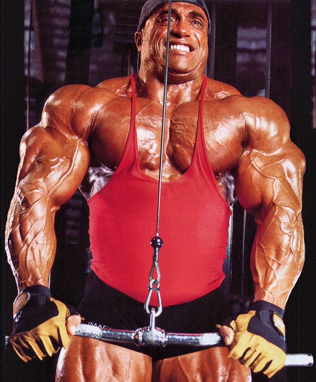 the beauty of male muscle: Dennis