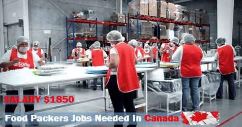 Food Packers Jobs Vacancies In Canada