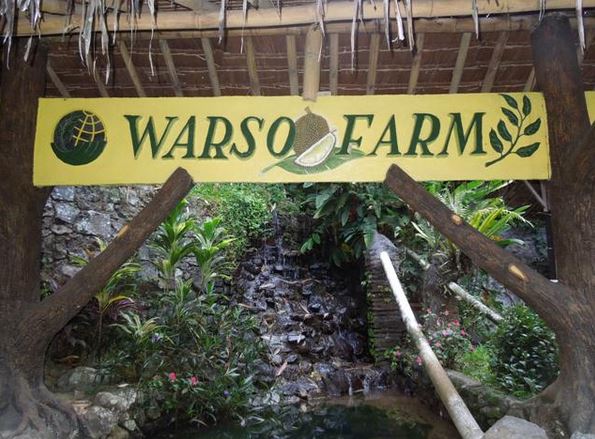 Wisata Bogor Warso farm | Seputar Informasi Wisata Alam dan Travelling
