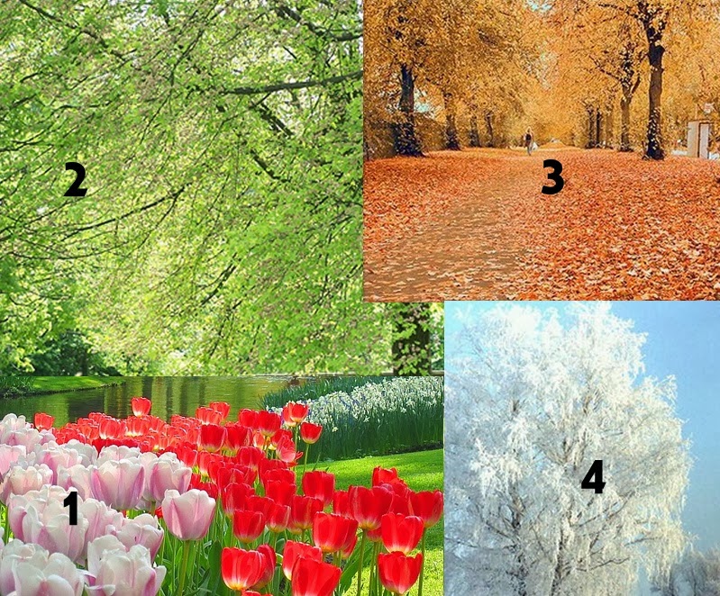 berbagai musim di dunia