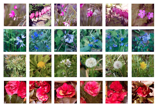 AS-A2 Introduction : Documentary Photography: Lin Osborn analysis