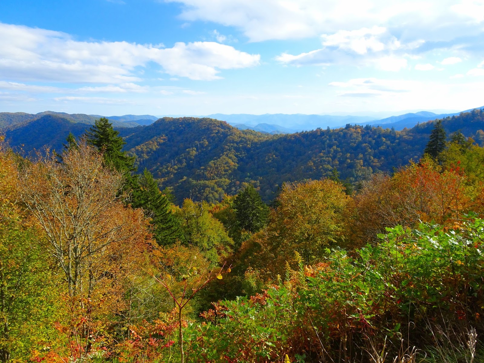 Femme au foyer: Autumn on Newfound Gap Road