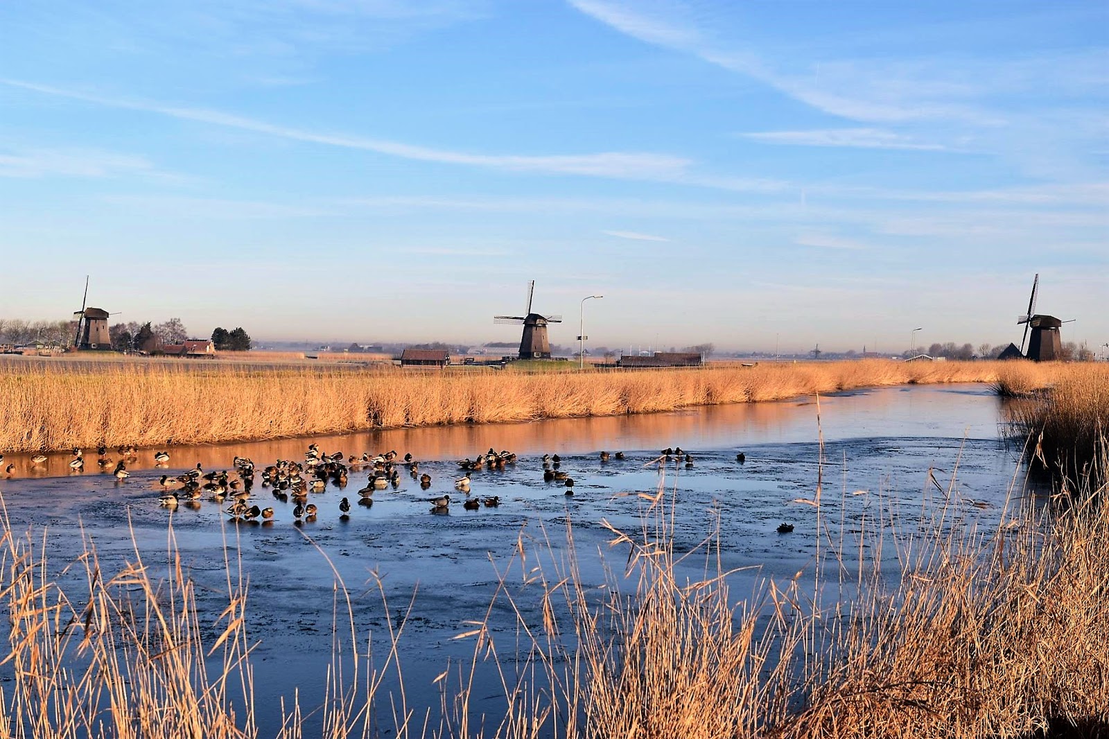Mooiste Routes: Wandelen rond De Rijp (Noord-Holland)