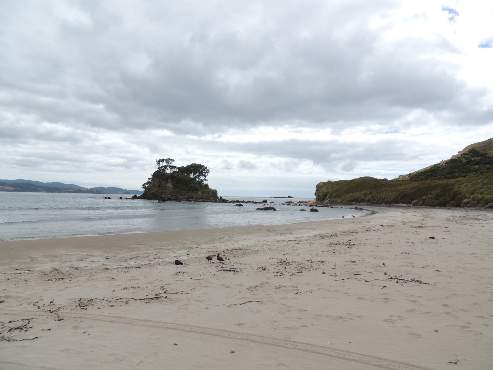 THE ROAD TAKEN : Trillium Lodge on Aotea/Great Barrier Island