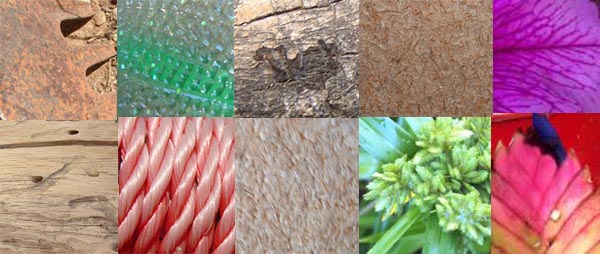 Share Our Garden!: Nature Patterns