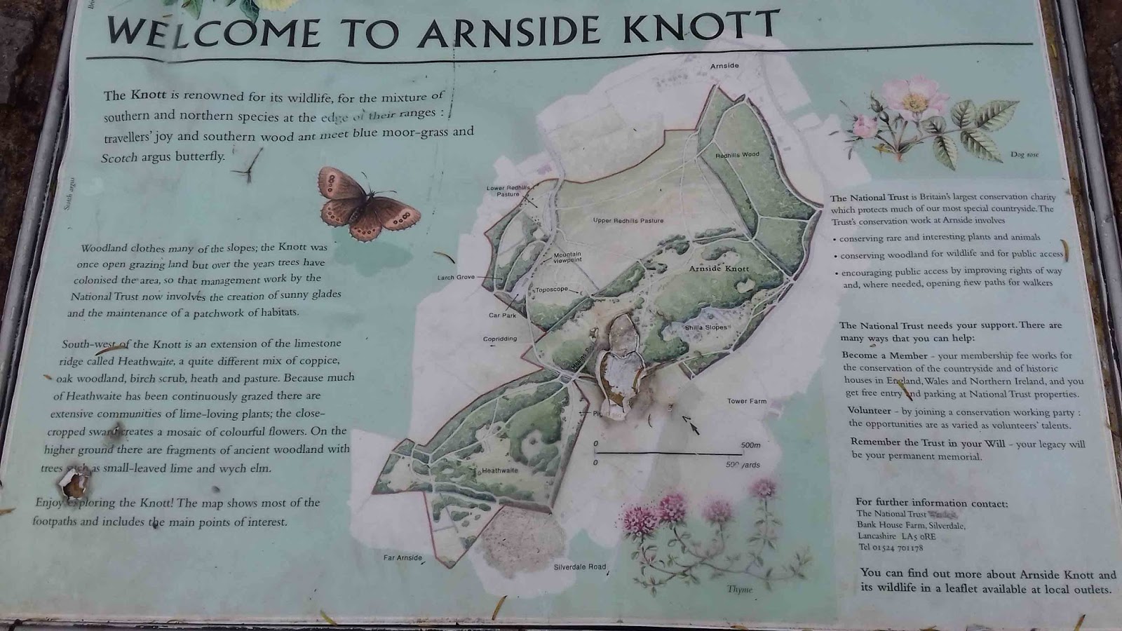 Radio Tales from West Wales and beyond...: G/LD-58 Arnside Knott