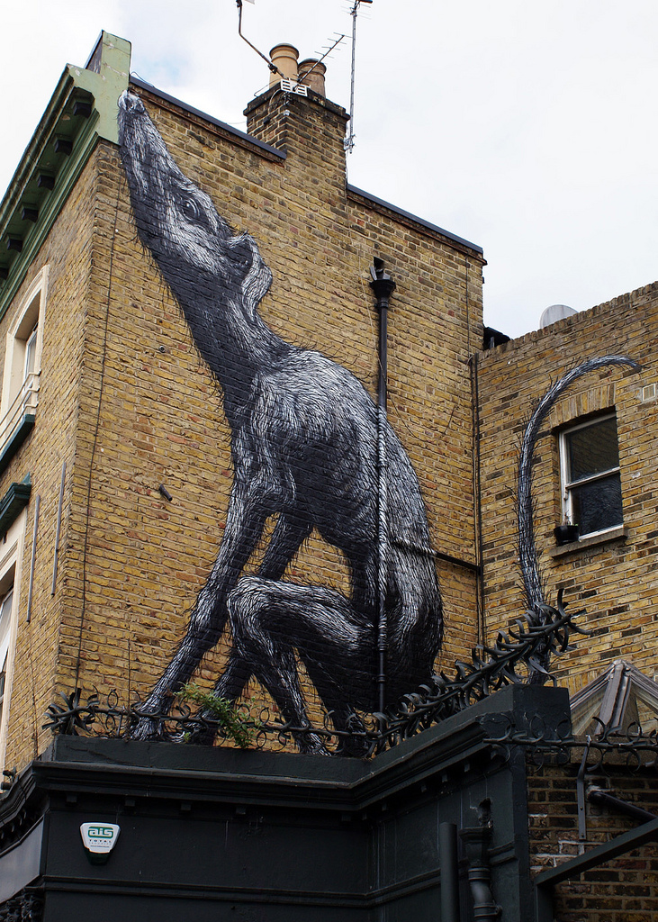ROA New Mural In London, UK – StreetArtNews