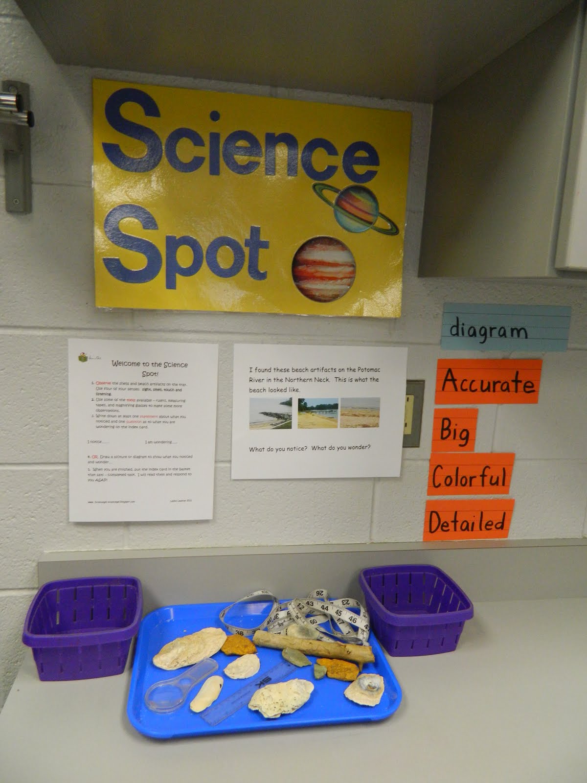 Classroom Freebies Too: Science Spot....get your beach on!