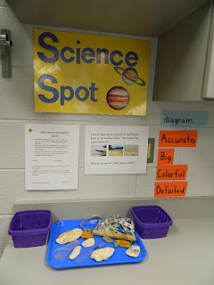 Classroom Freebies Too: Science Spot....get your beach on!