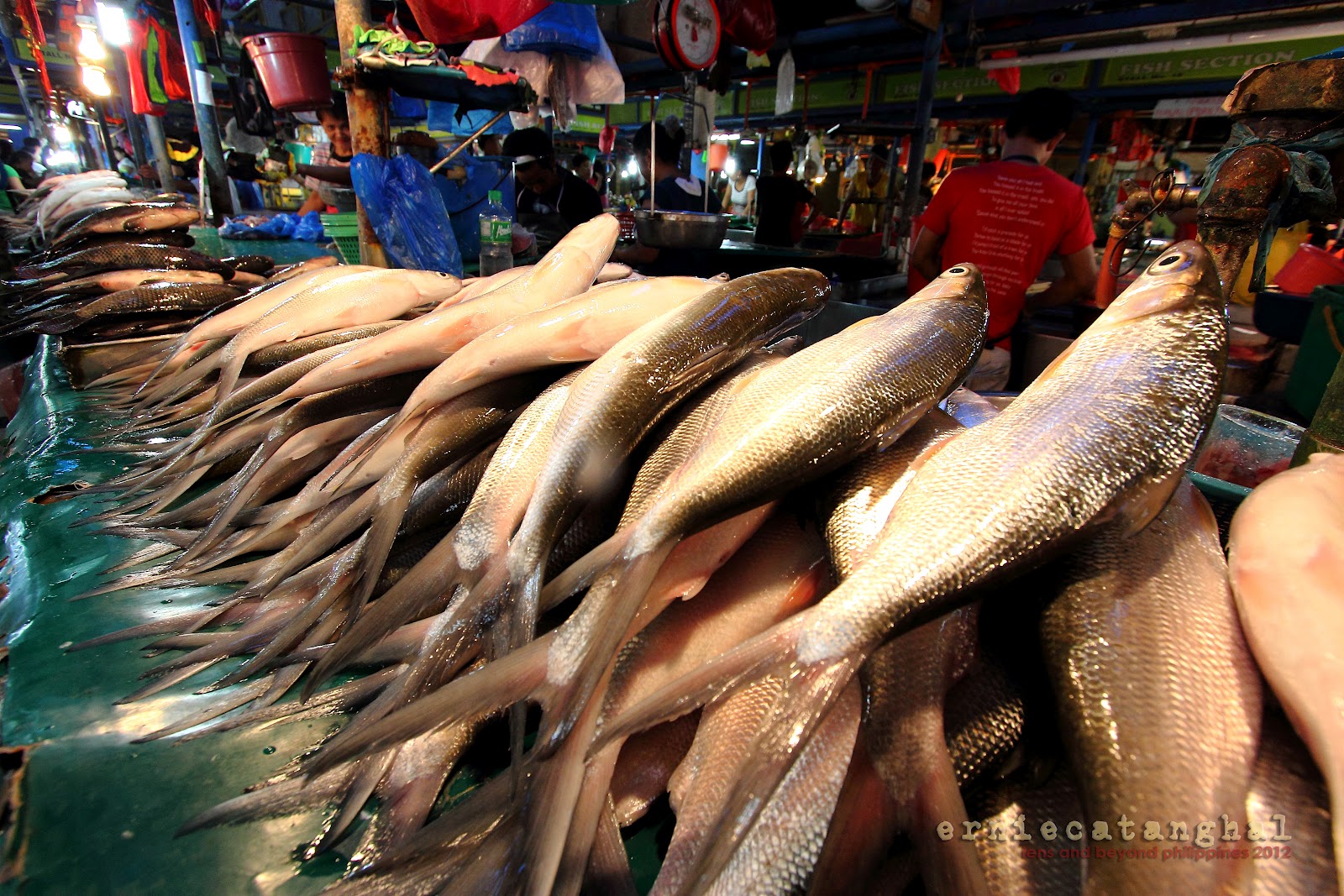 LENS AND BEYOND Philippines (vol. 1): Batch 35: Gandang Palengke ...