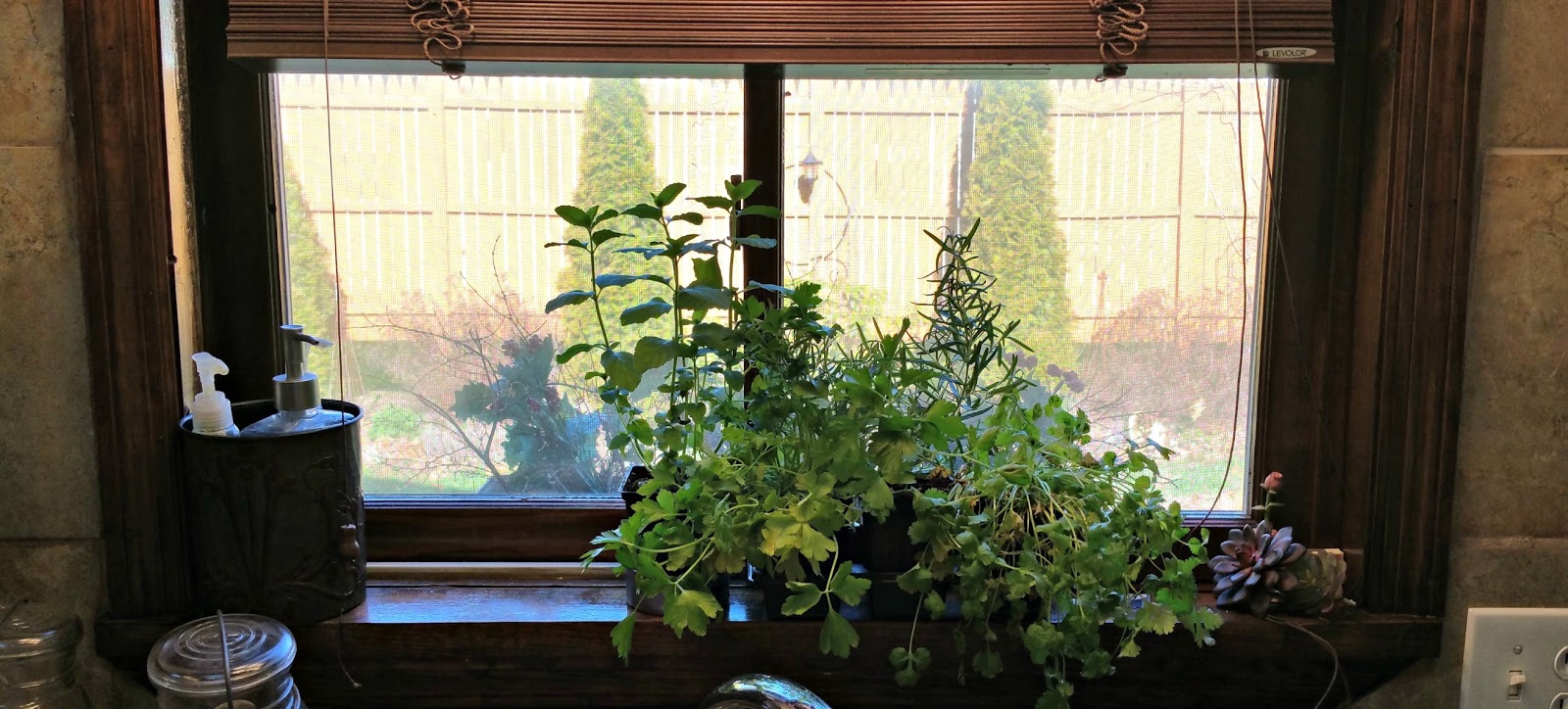 Kitchen Window Herb Garden | Redo It Yourself Inspirations : Kitchen ...
