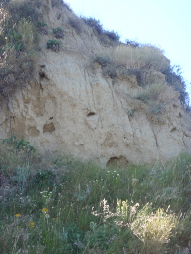 Insula Popina – Romania vazuta din caiac