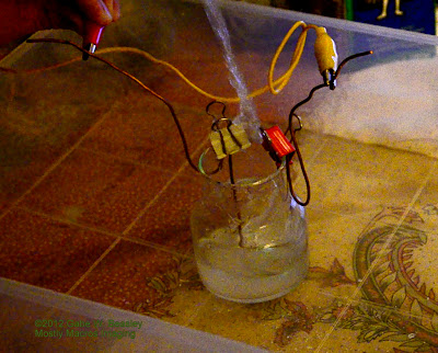 Mostly Macros Imaging: PLASMA! --and a homemade flyback transformer!