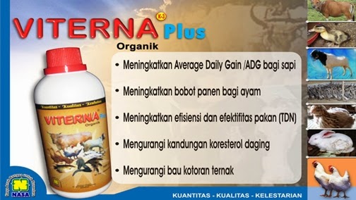 VITERNA PLUS - JARINGAN NASA JAWA TIMUR
