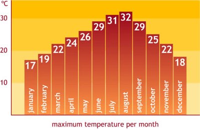 Spain: An Essential Guide