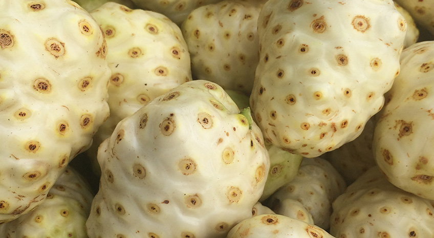 Hawaiian Organic Noni: Health Food: How to Use Noni Fruit the ...