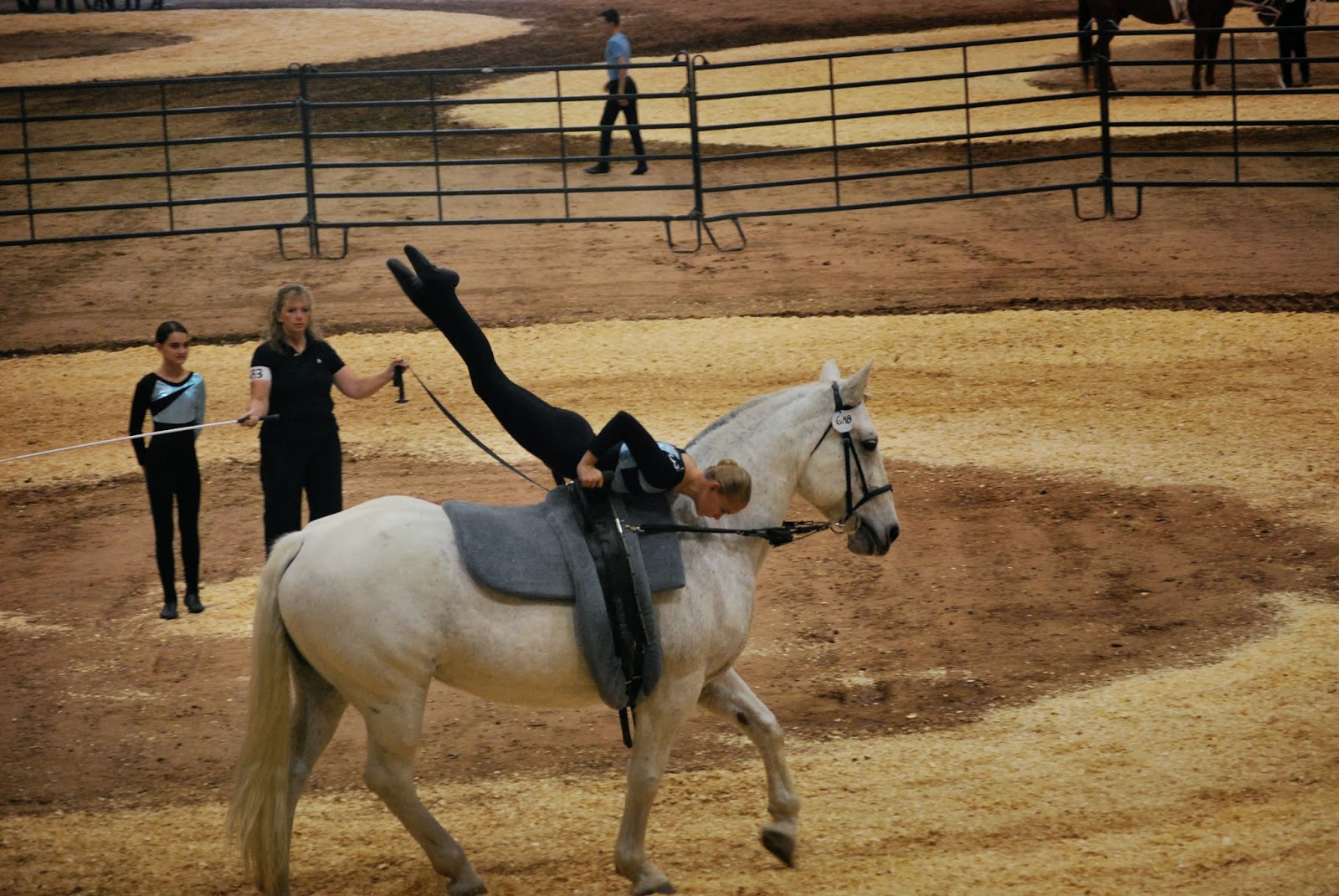 Saltzworks: Region 1 Equestrian Vaulting Championships