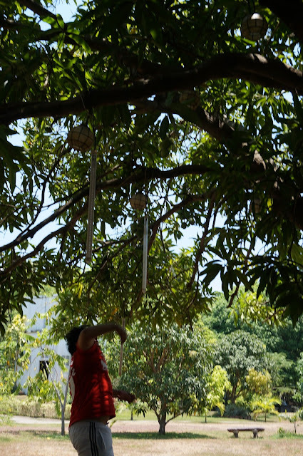 TRAVELS OF JOY: Little Bridge Beach Resort