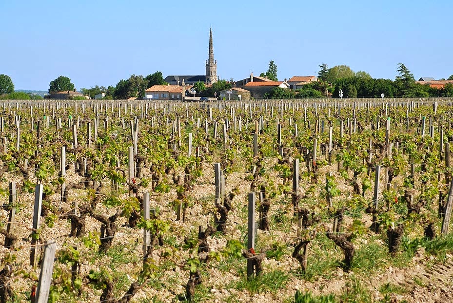 Medoc y Saint Emilion - Hoja de Rutas - Blog de viajes y fotografía