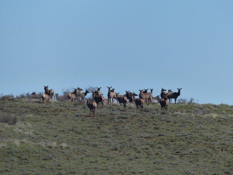 Fagin's Weather World - Hike Washington: Fagin's Hike of the Week ...