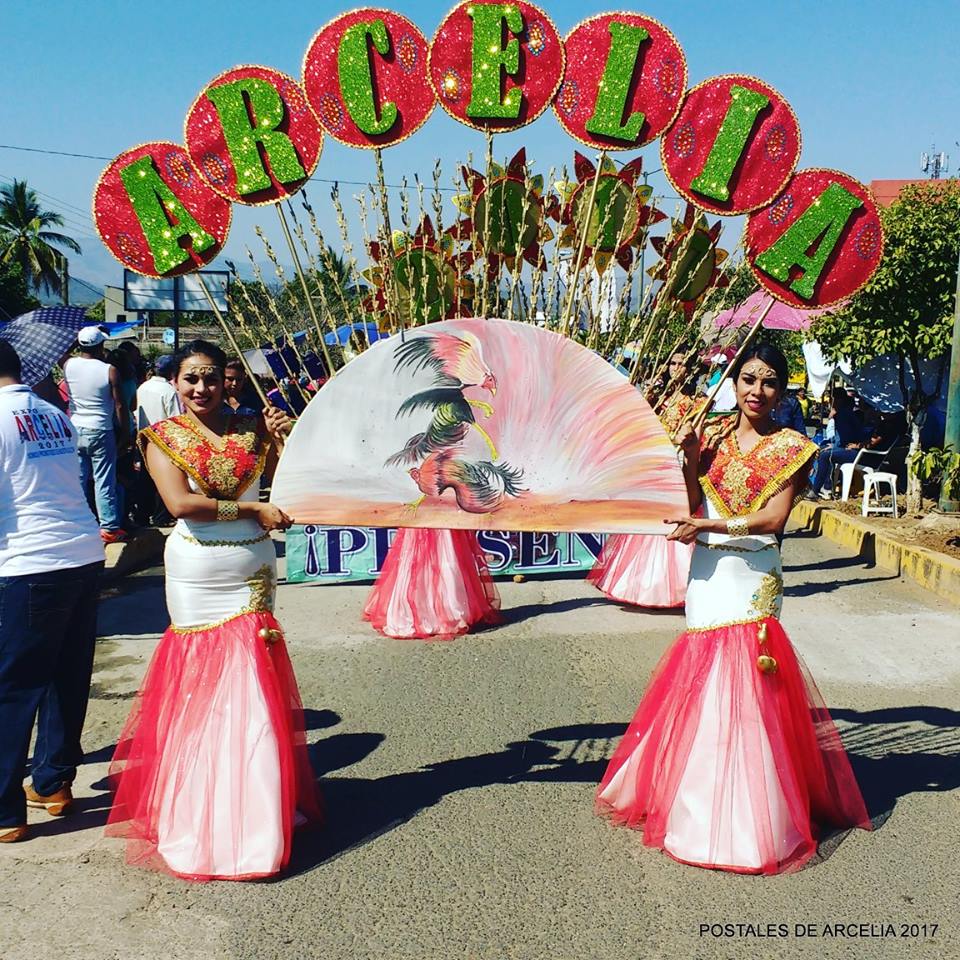 Fotos del Desfile de la Expo Arcelia Guerrero 2017 en Tierra Caliente ...