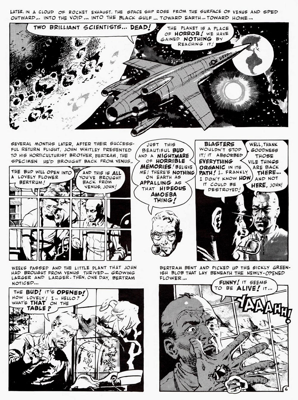 Pappy's Golden Age Comics Blogzine: Number 1909: The Spawn of the Spawn ...