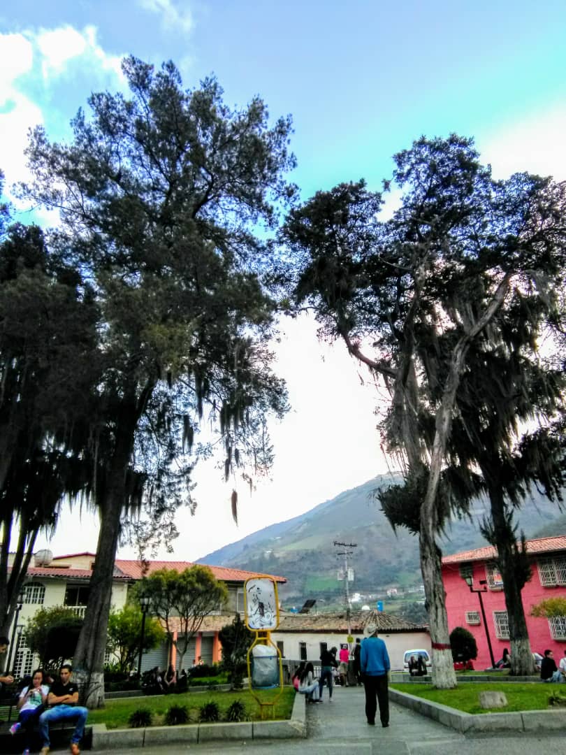 Timotes, Merida - Venezuela: LA OBRA TRUNCA DE MONSEÑOR VIVAS