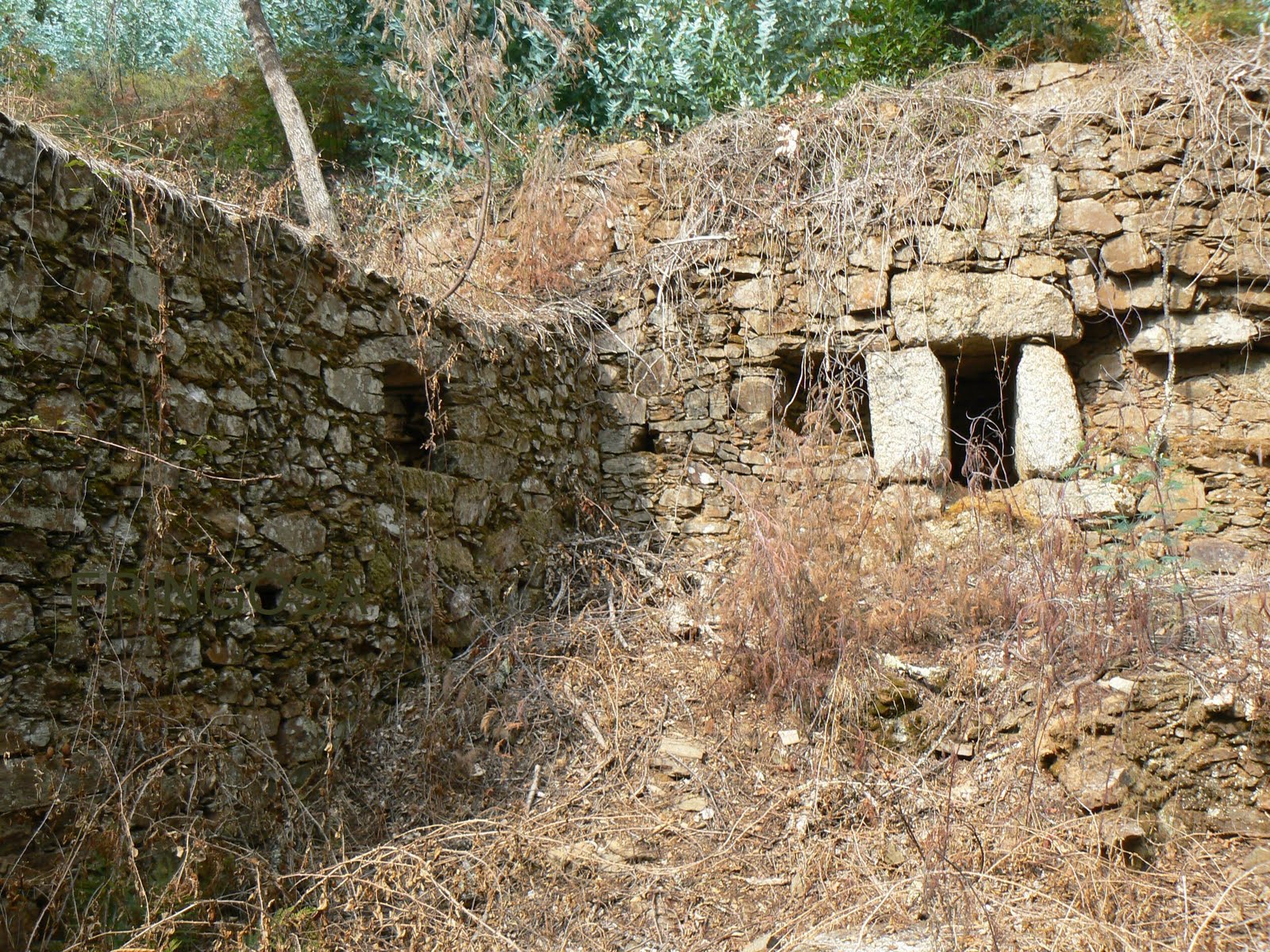 ARQUIVO FRINGOSA: COUTO DO MOSTEIRO: Lagar de varas das Rochoiras