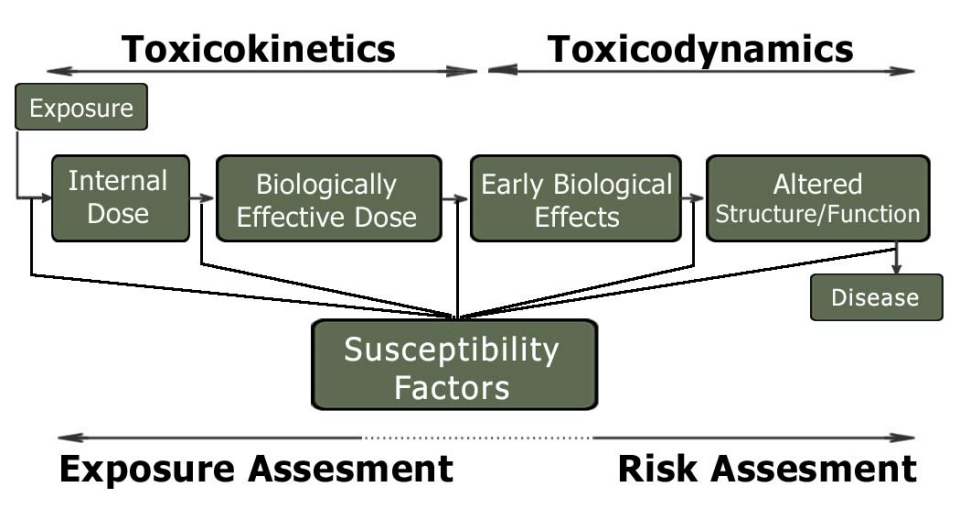 Clinical Chemistry Blog Notes D: Toxicology