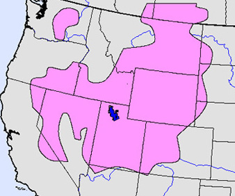 The Rural Blog: Proposed changes to sage-grouse rules would help drillers