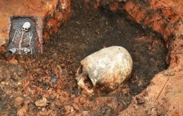 Strange ancient skeleton with elongated ‘alien’ skull unearthed at ...