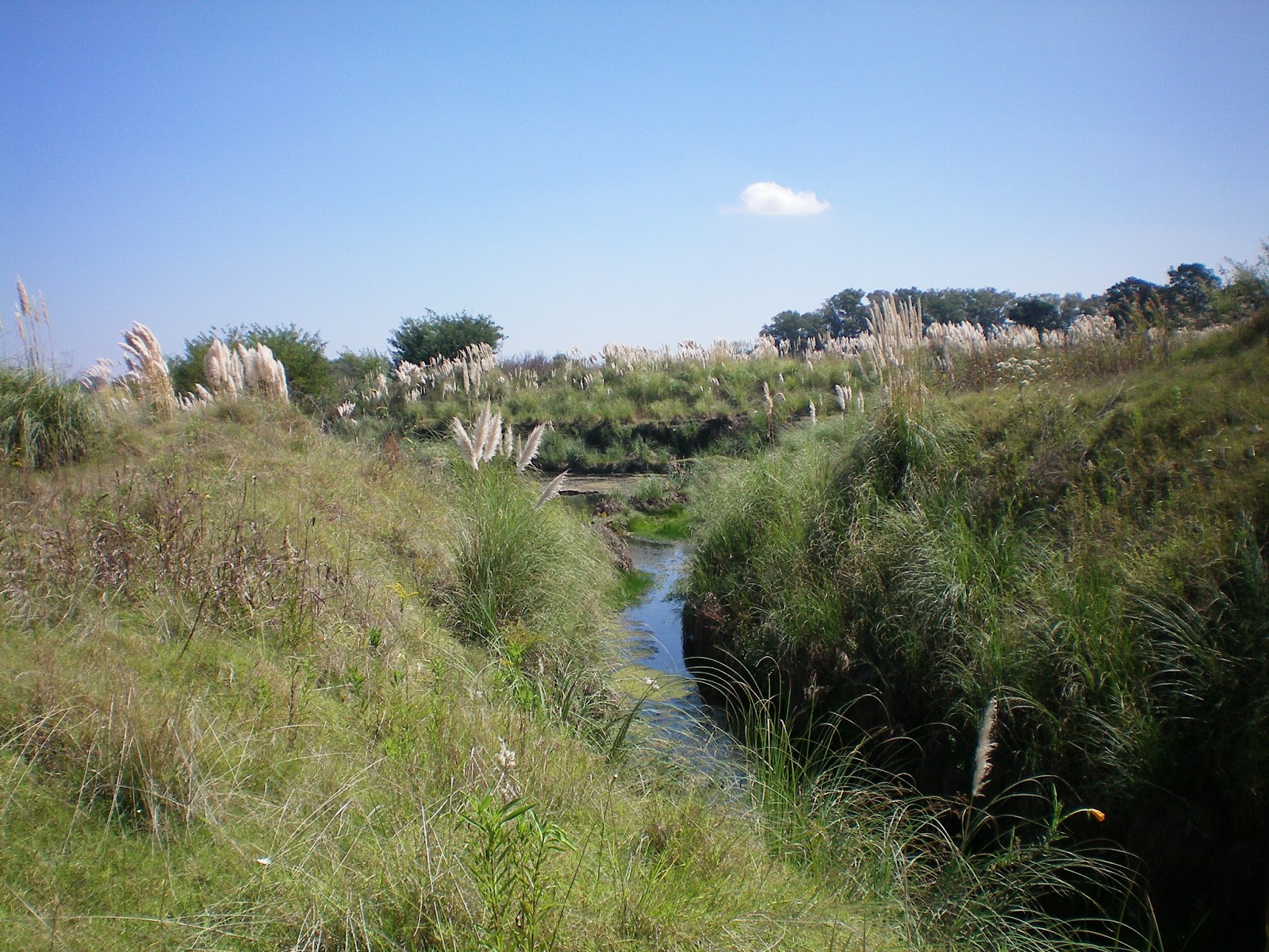 Reserva natural Arroyo Balta