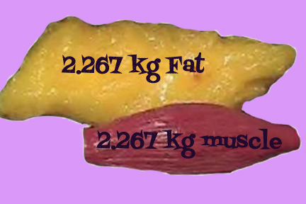 Truth-about-everything: February 2012