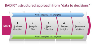 Excellence in Financial Management: BADIR: A Simple Approach to Analytics
