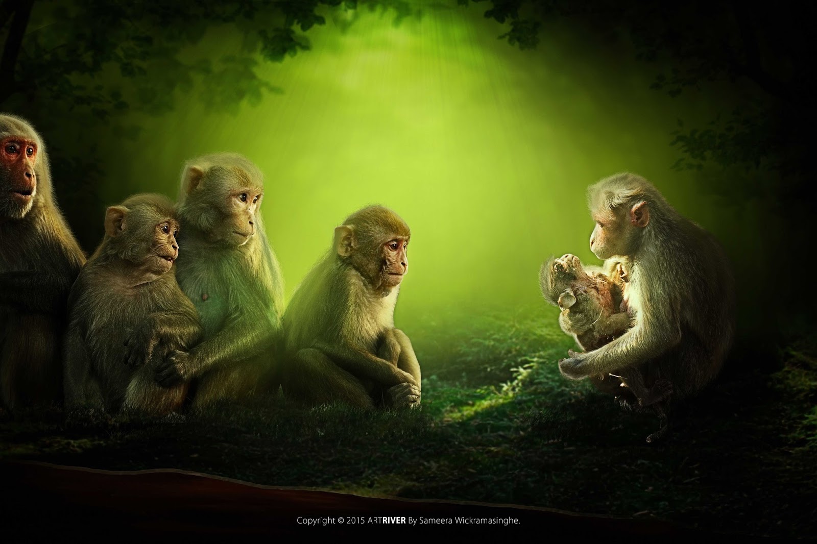 Dead Monkey | Photo Manipulation (Speed Art)