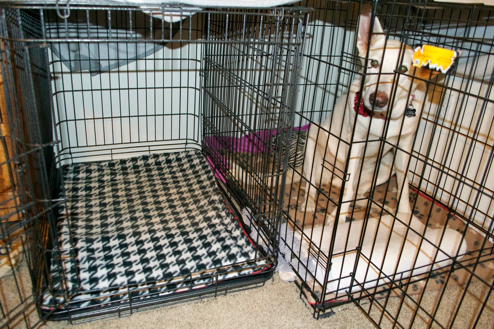 Focus on Bre: DIY dog Crate Mat