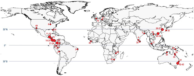 LAND OF THE DEAD: BIG MEALS FOR BIG SPIDERS