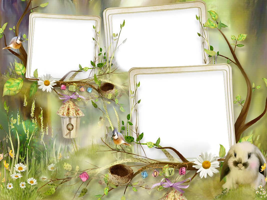 Borde para fotos digitales - Imagui