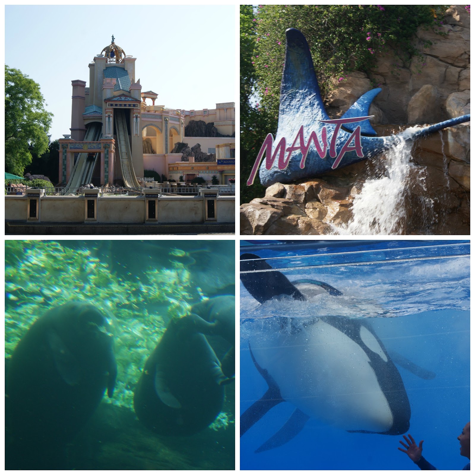 SeaWorld: oceans of fun for all the family! - New York For Beginners