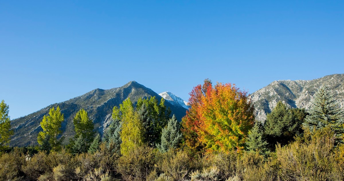 Carson Valley, Nevada: Carson Valley Autumn