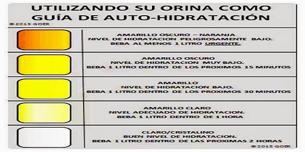 SocialNet MX: Colores de la "pipi" y sus significados