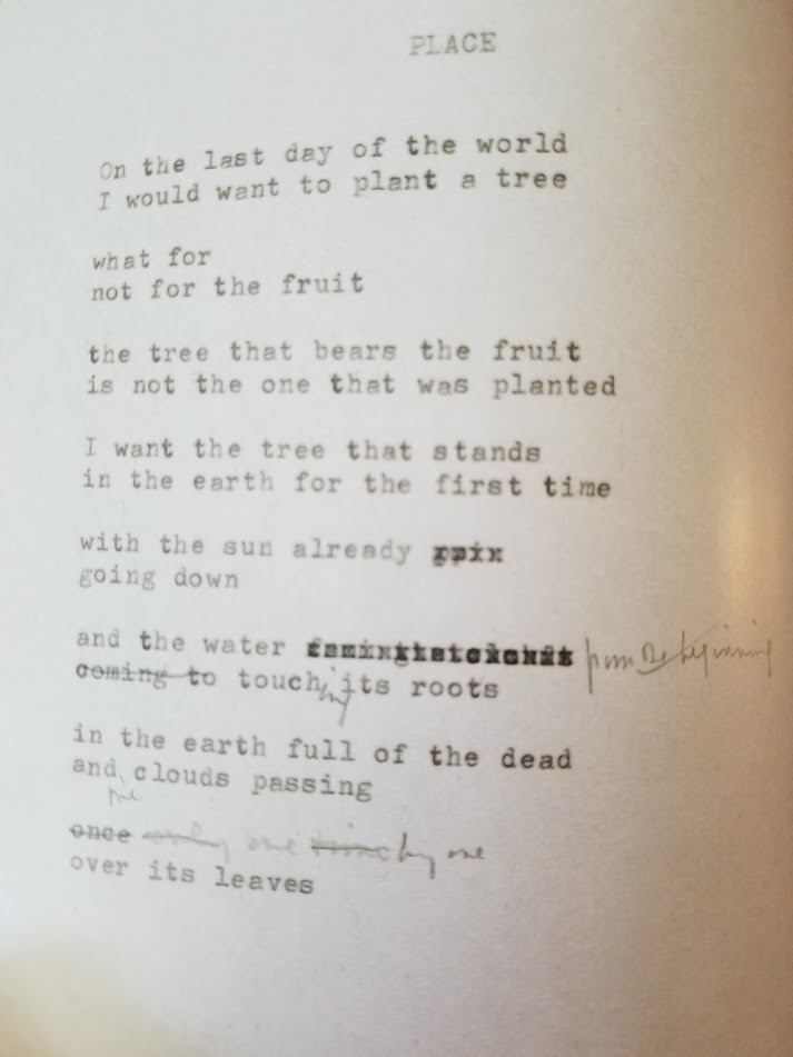 Cryptomnesia: The American Writers Museum - Literary Tour of Chicago Pt. 1