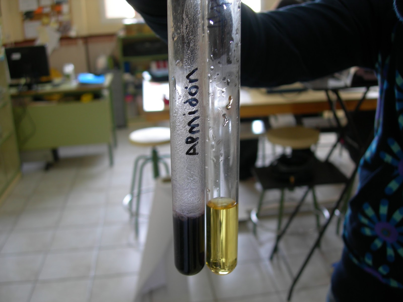 LA PROBETA VIRTUAL: ANÁLISIS DEL ALMIDÓN. REACTIVO DE LUGOL.