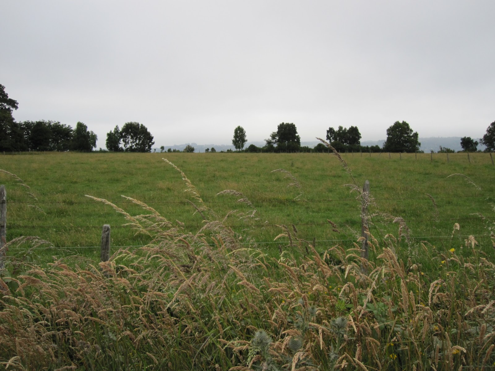 Daniel Rowland: Frutillar - smooth dirt roads for miles