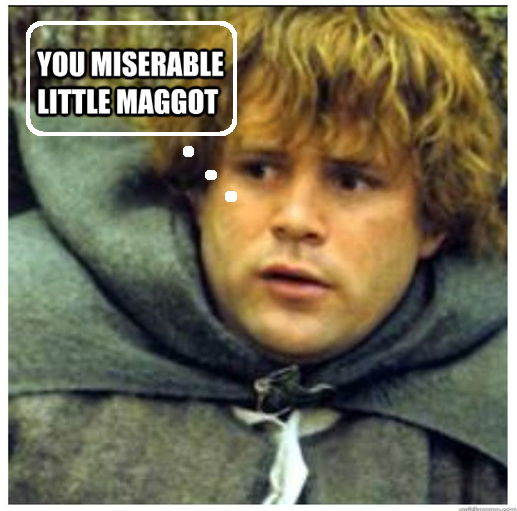 Lord of the Rings via Meme