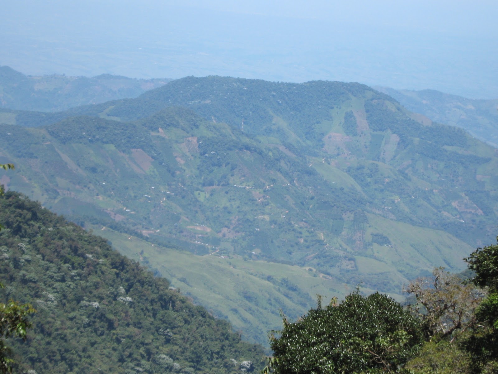 Parque Nacional Natural Tatamá